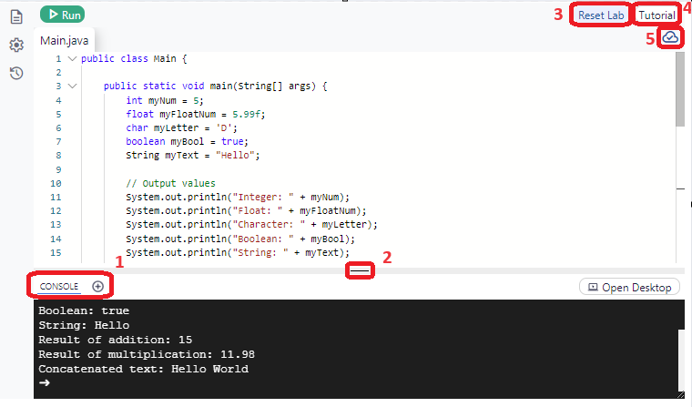 How to use Advanced zyLabs in your zyBook – zyBooks - Help center
