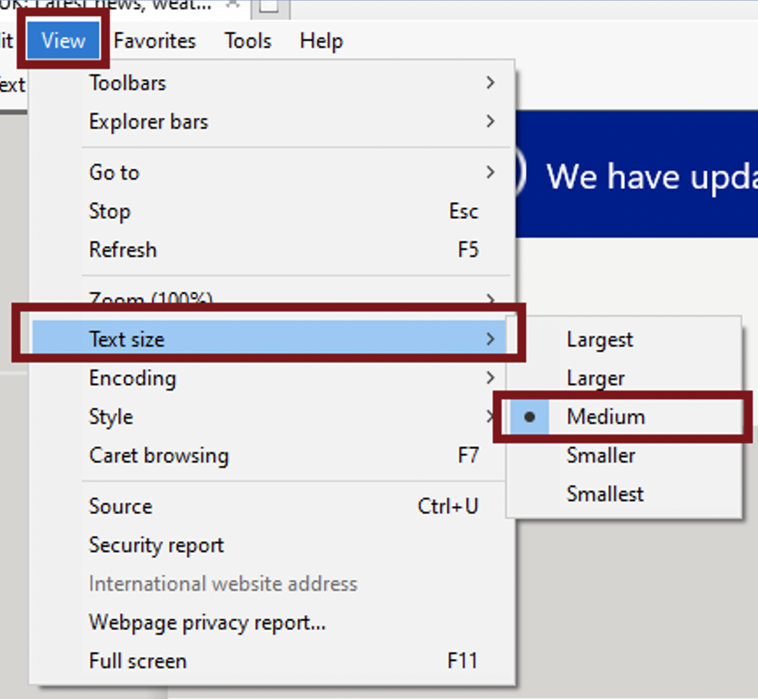 How can I change font sizes and magnify content in my browser ...